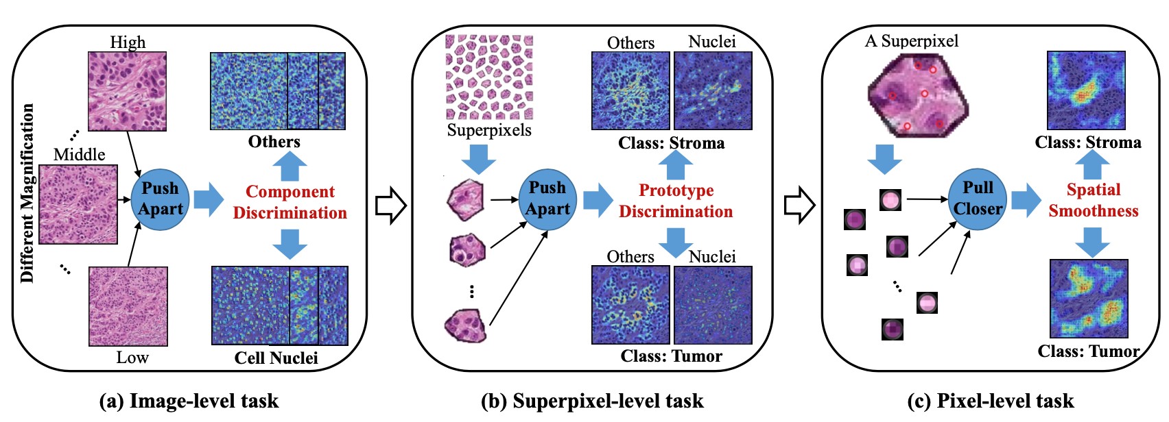 【科技自立自强】西安交大科研人员关于计算病理表型识别研究取得重要进展-西安交通大学新闻网