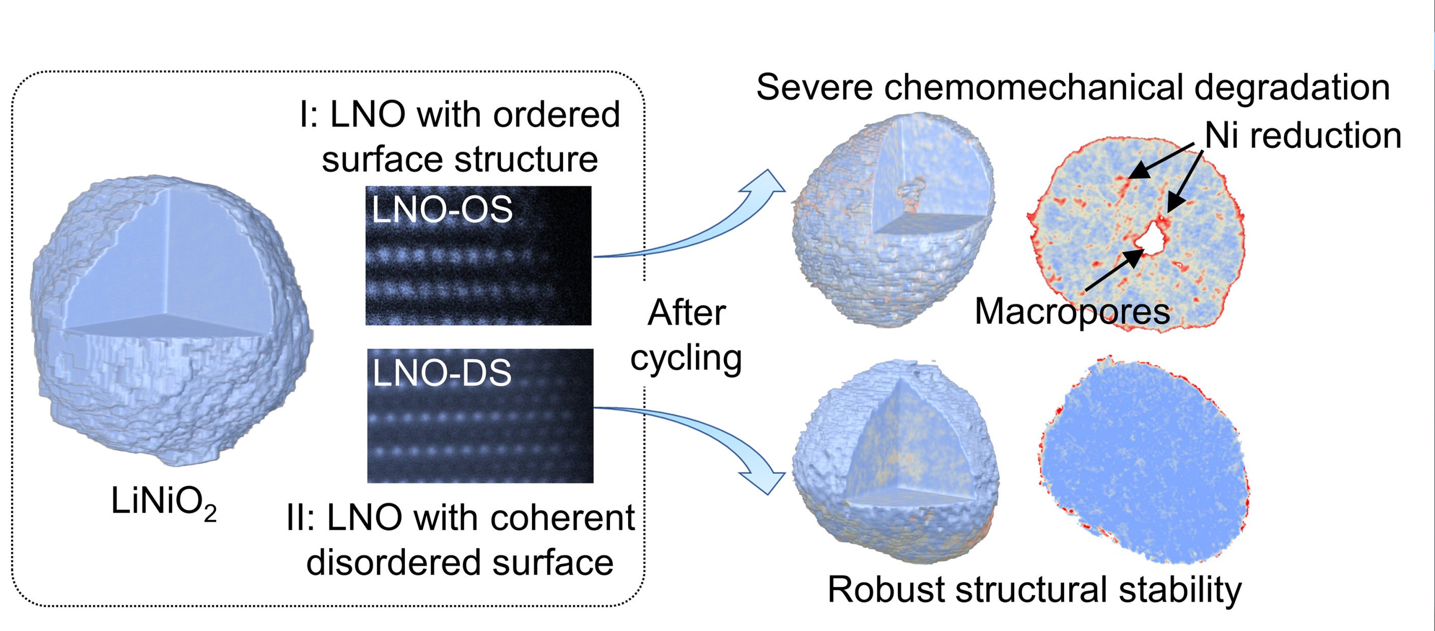 【科技自立自强】西安交大科研人员在高性能锂离子电池正极材料研究方面取得进展-西安交通大学新闻网